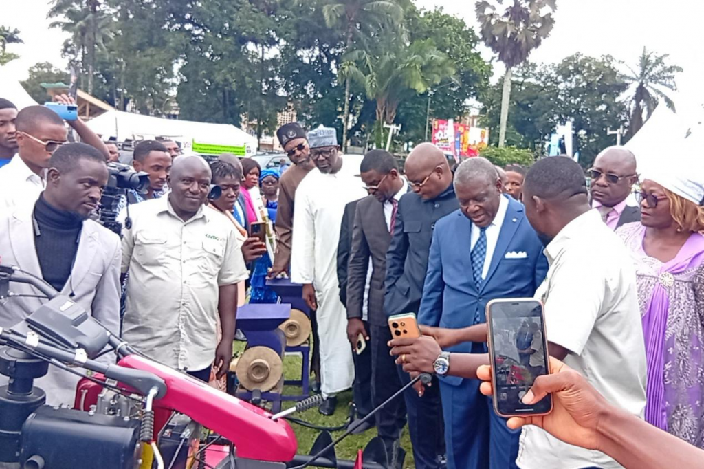 MINADER's International Cassava Festival “All Kassava - Acte 2” (Douala ...
